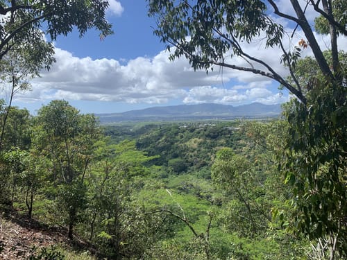 2023 Best 10 Forest Trails in Honolulu Watershed Forest Reserve | AllTrails