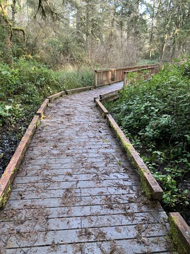 Best Hikes and Trails in Leadbetter Point State Park | AllTrails