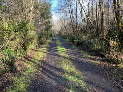 Best Hikes and Trails in Leadbetter Point State Park | AllTrails