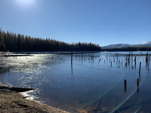 Best Hikes and Trails in McCulloch Reservoir Receaction Site | AllTrails