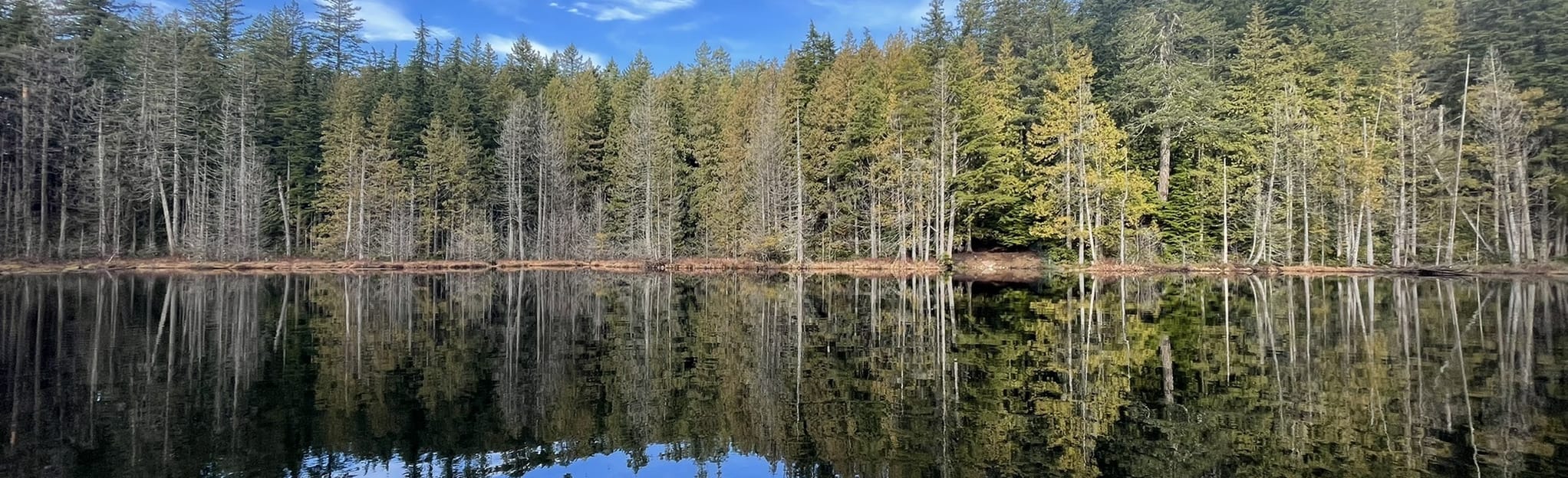 Whyte Lake via Nelson Creek Trail: 1106 Reviews, Map - British Columbia ...