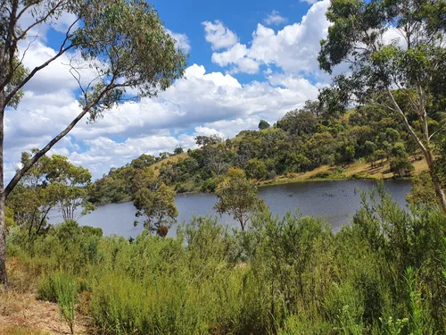 Best Forest Trails in Googong | AllTrails