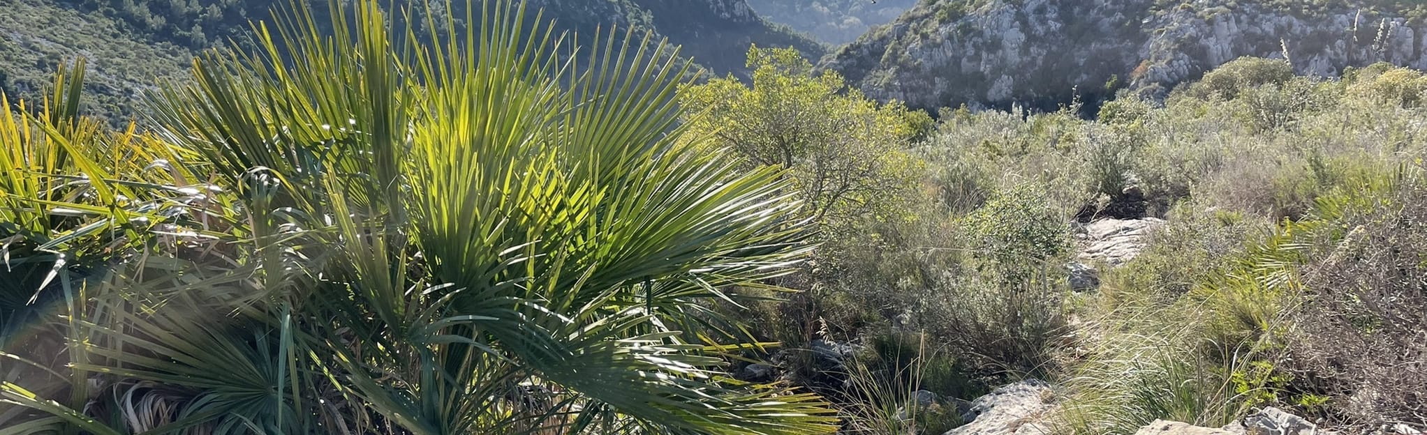 GR®92 Sendero del Mediterráneo. Camino de las costas: 4 Reviews, Map ...