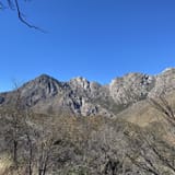 Four Peaks Trail to Arizona Trail, Arizona - 63 Reviews, Map | AllTrails