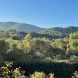 North Springfield Reservoir Trail, Vermont - 114 Reviews, Map | AllTrails