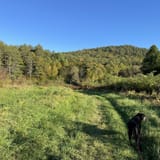 North Springfield Reservoir Trail, Vermont - 114 Reviews, Map | AllTrails