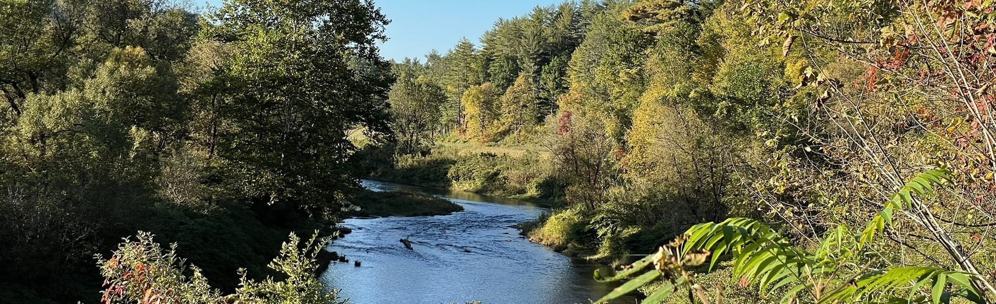 North Springfield Reservoir Trail, Vermont - 101 Reviews, Map | AllTrails