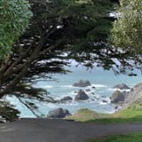 Kortum Trail, California - 291 Reviews, Map | AllTrails