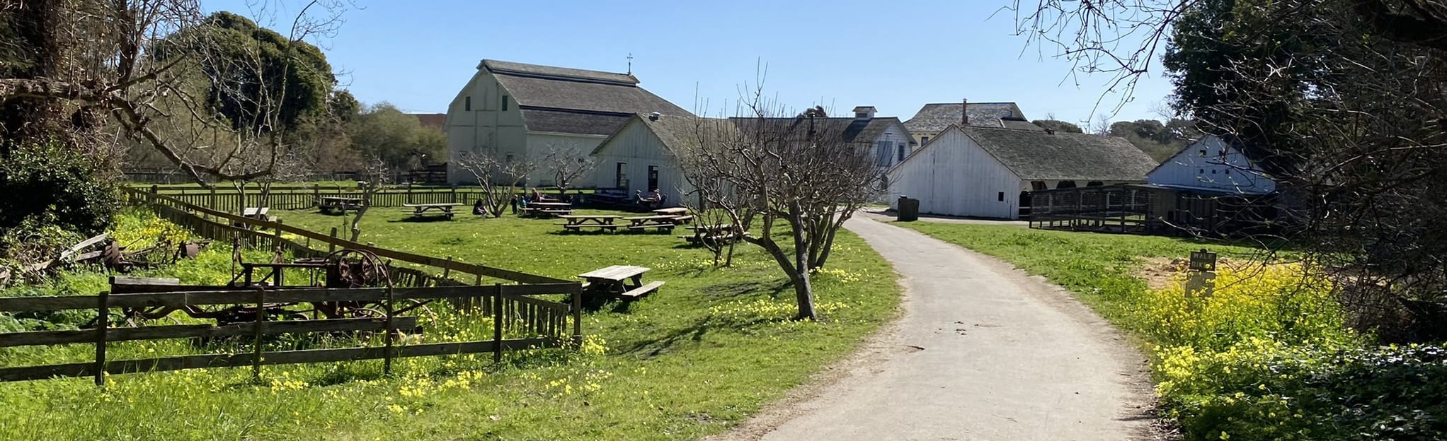 Wilder Ridge, Baldwin, Ohlone Bluff and Old Cove Landing Trail: 1,157 ...