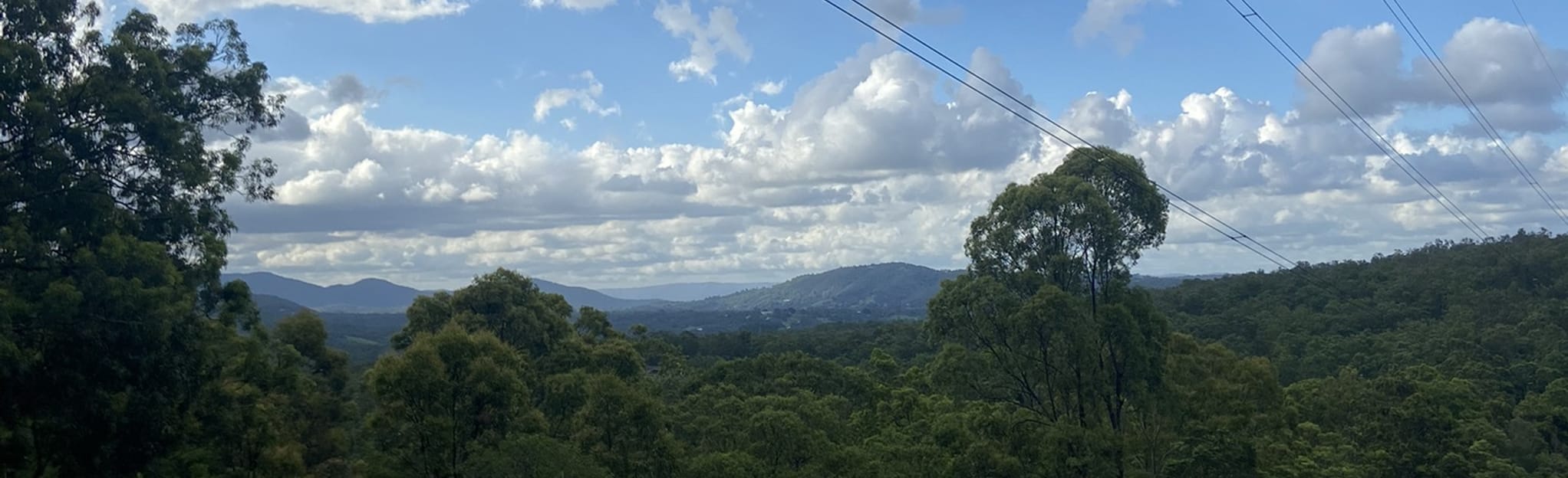 Mango Tree Circuit: 10 Reviews, Map - Queensland, Australia | AllTrails