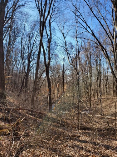 Best Hikes and Trails in Perry State Forest | AllTrails