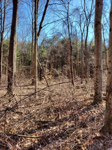 Best Hikes and Trails in Perry State Forest | AllTrails