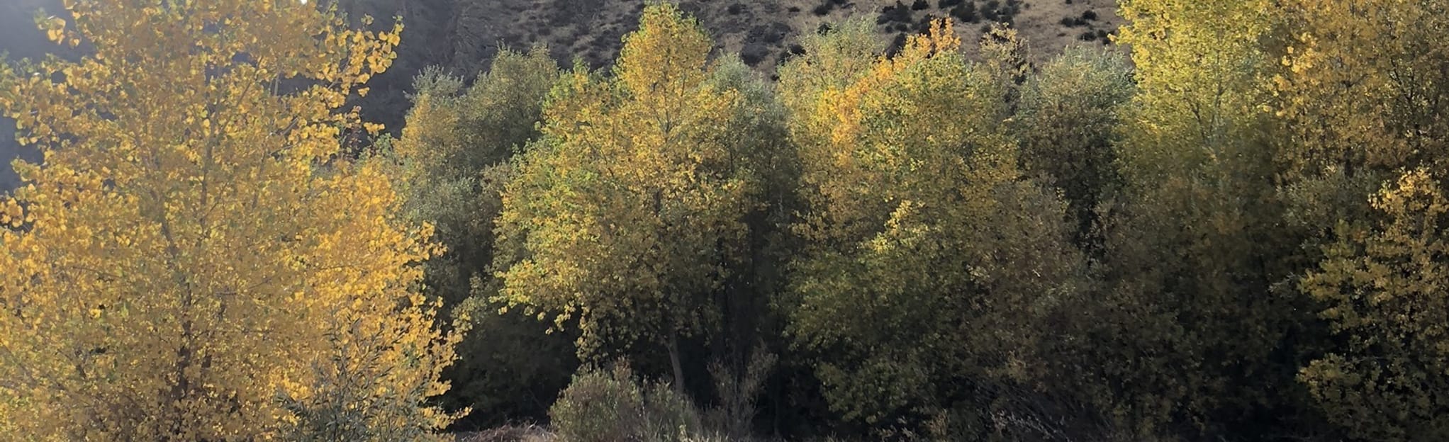 Piru Creek Trail: 167 Reviews, Map - California | AllTrails