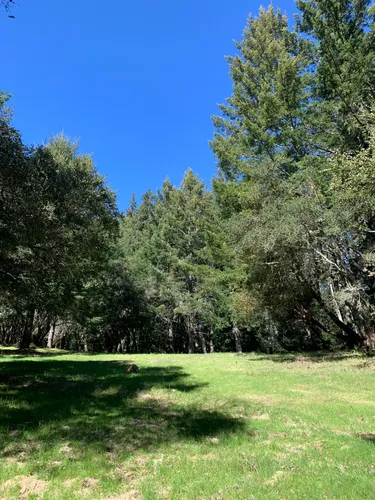 Best 10 Hikes and Trails in Wunderlich County Park | AllTrails