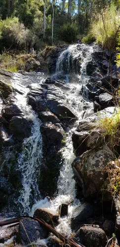 Best Walking Trails in Mount Samaria State Park | AllTrails