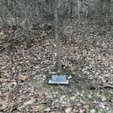 USI-Burdette Trail, Indiana - 1,092 Reviews, Map | AllTrails