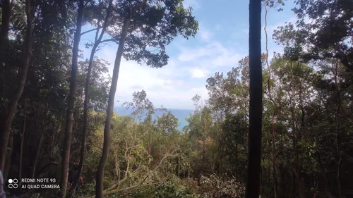 Best Beach Trails in Chukai | AllTrails