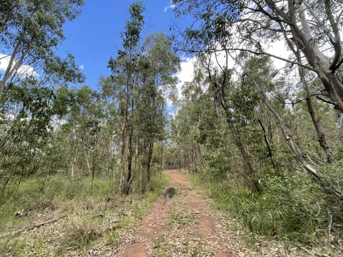 Best Hikes and Trails in Edmondson Regional Park | AllTrails