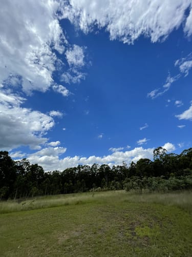 Best Hikes and Trails in Edmondson Regional Park | AllTrails