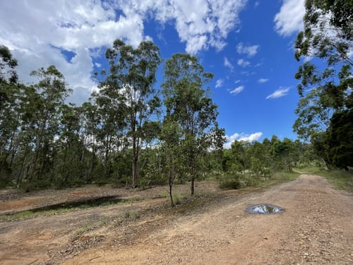 Best Hikes and Trails in Edmondson Regional Park | AllTrails