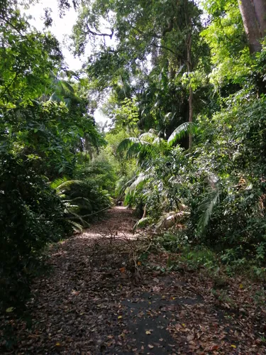Best Hikes and Trails in Hutan Lipur Pulau Pangkor | AllTrails