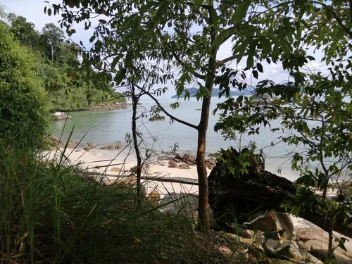 Best Hikes and Trails in Hutan Lipur Pulau Pangkor | AllTrails
