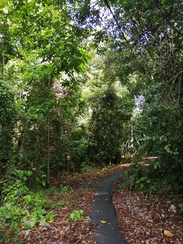 Best Hikes and Trails in Hutan Lipur Pulau Pangkor | AllTrails