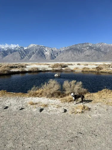 Best Hot Springs Trails in Lone Pine | AllTrails