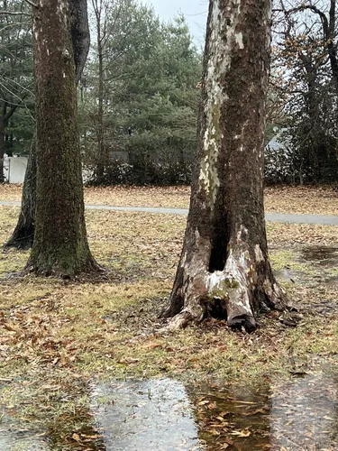 Best Hikes and Trails in John Laderman Park | AllTrails