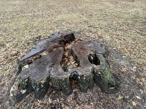 Best Hikes and Trails in John Laderman Park | AllTrails