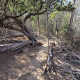 Woodway Trail, Texas - 298 Reviews, Map | AllTrails