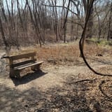Woodway Trail, Texas - 298 Reviews, Map | AllTrails