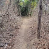 Woodway Trail, Texas - 298 Reviews, Map | AllTrails