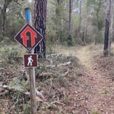 Richloam Wildlife Management Area, Florida - 61 Reviews, Map | AllTrails