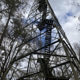 Richloam Wildlife Management Area, Florida - 61 Reviews, Map | AllTrails