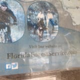 Richloam Wildlife Management Area, Florida - 61 Reviews, Map | AllTrails