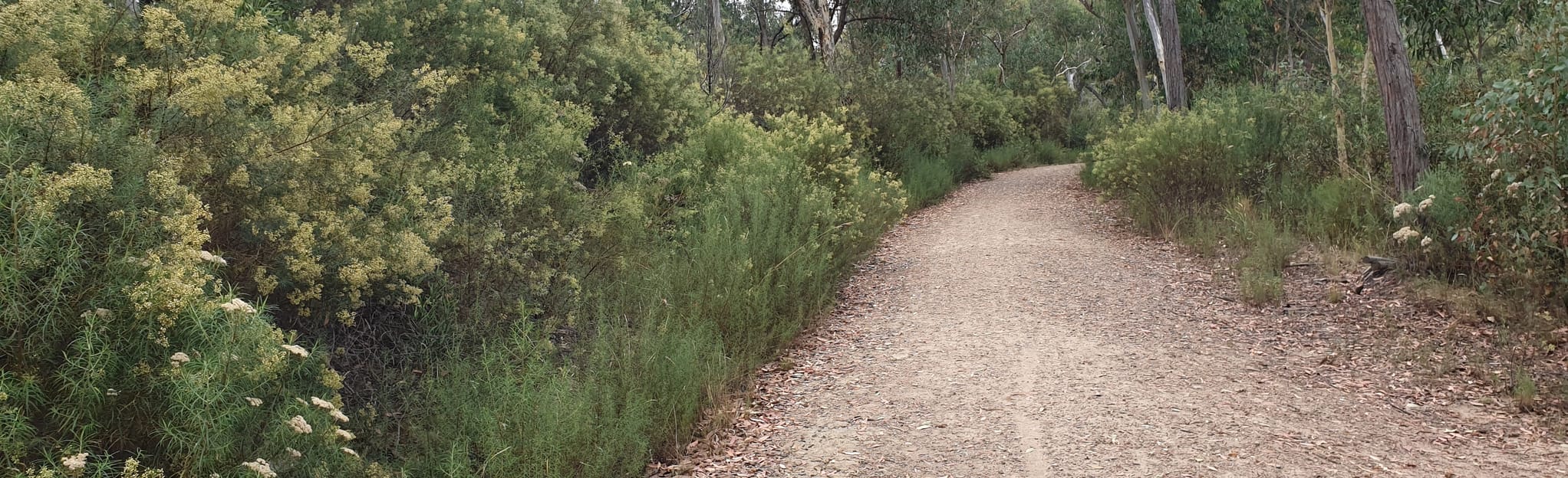 Bruce Ridge Nature Reserve Loop: 26 Reviews, Map - Australian Capital ...