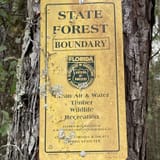 Richloam Wildlife Management Area, Florida - 55 Reviews, Map | AllTrails