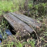 Richloam Wildlife Management Area, Florida - 55 Reviews, Map | AllTrails