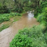 Kedron Brook Bikeway Full Route, Queensland, Australia - 112 Reviews ...