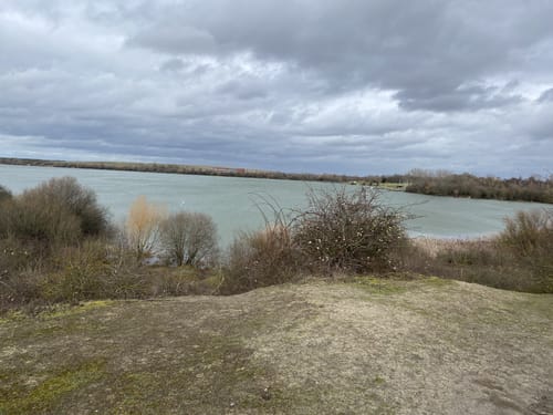 Best Hikes and Trails in Marston Vale Millennium Country Park | AllTrails
