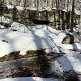 Busby Trail, Spruce Hill Lost Pond and Blackburnian Loop, Massachusetts ...