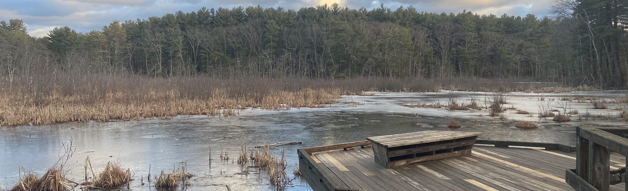 Old Orchard Trail, Blueberry Swamp Loop, and Glacial Hill Trail: 168 ...