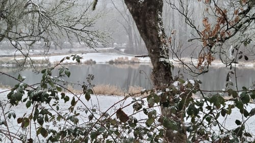 Best Hikes and Trails in Trojan Park | AllTrails