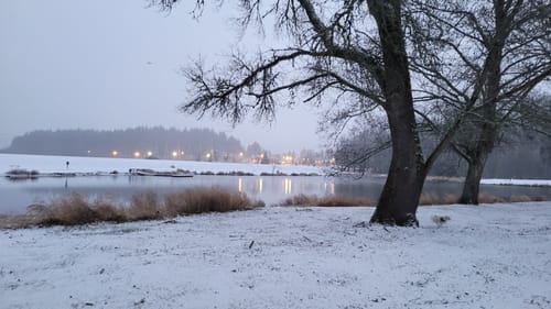 Best Hikes and Trails in Trojan Park | AllTrails