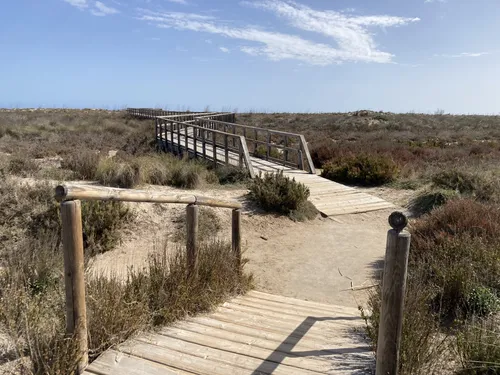 Best Wild Flowers Trails in Parque Regional Salinas y Arenales de San ...
