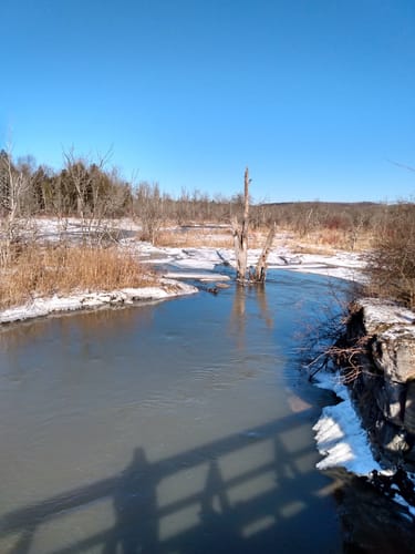 Best Hikes and Trails in Nelson Swamp Unique Area | AllTrails