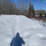 Figure Eight Lake Loop, Alberta, Canada - 8 Reviews, Map | AllTrails