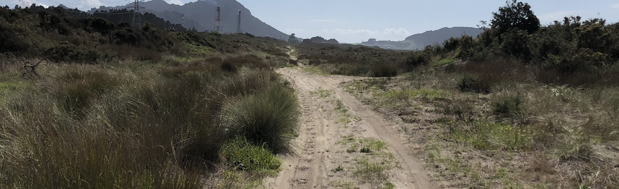 Ruakaka Pipeline Road Track: 5 Reviews, Map - Northland, New Zealand ...