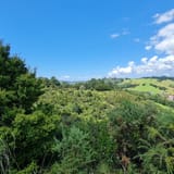 Puhoi Lookout Track, Auckland, New Zealand - 45 Reviews, Map | AllTrails